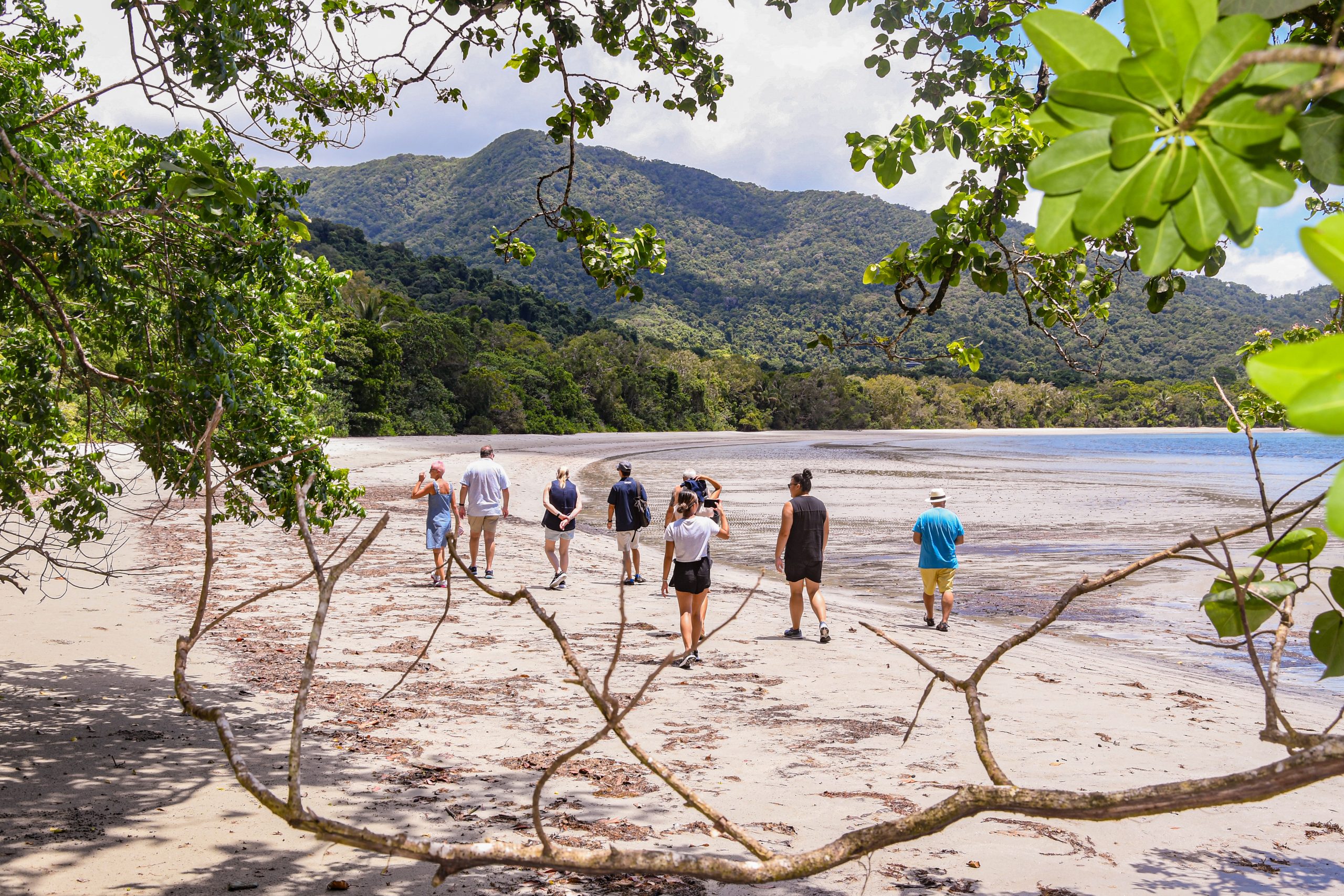Daintree Full Day Tour