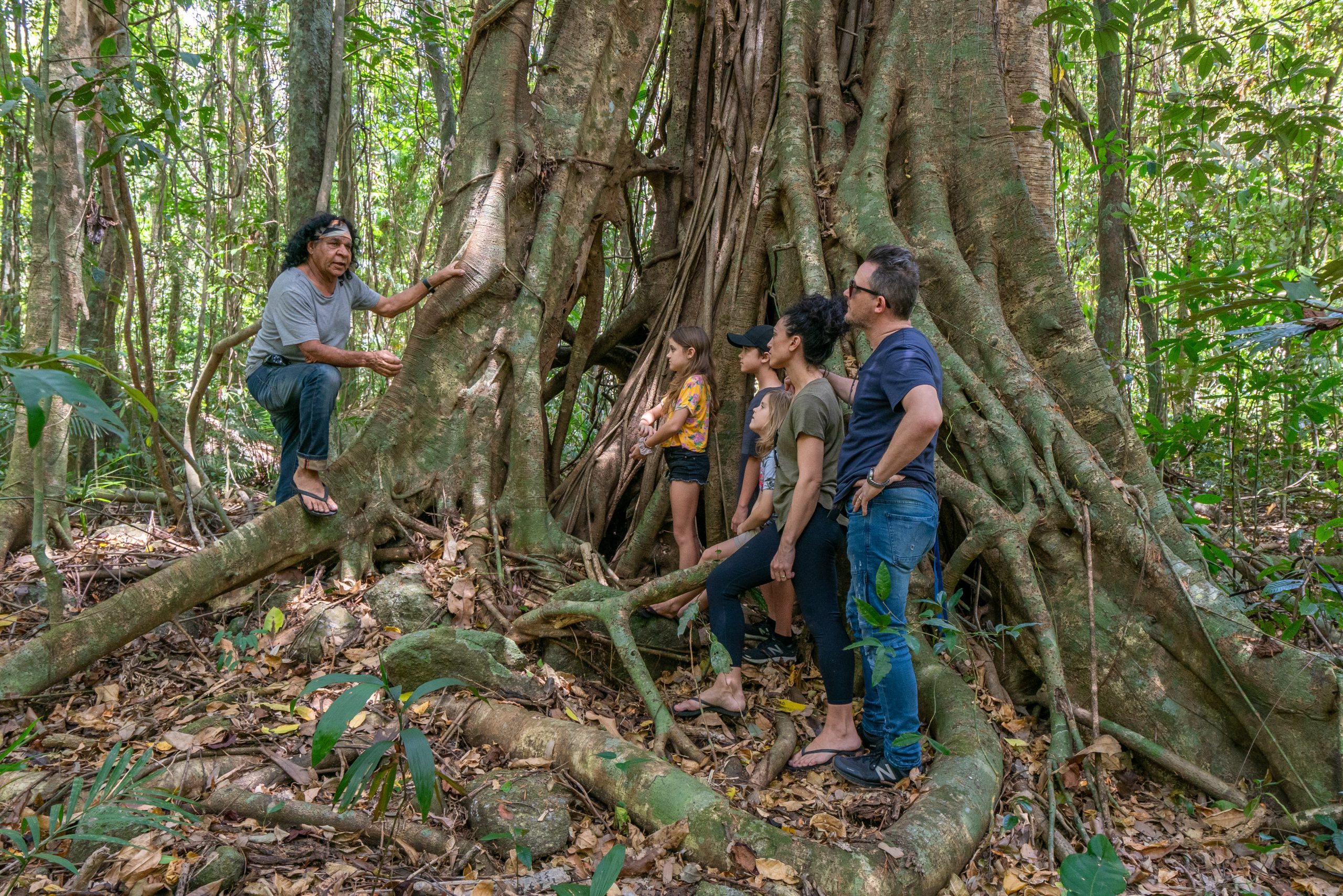 Indigenous Full-Day Daintree Tour (Ngana Kulkinga Dungay)